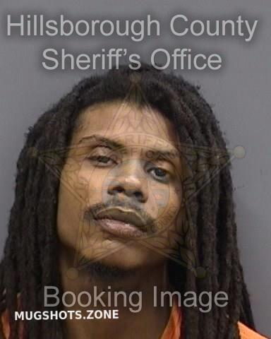 DAVIS MICHAEL JR 10/27/2024 - Hillsborough County Mugshots Zone