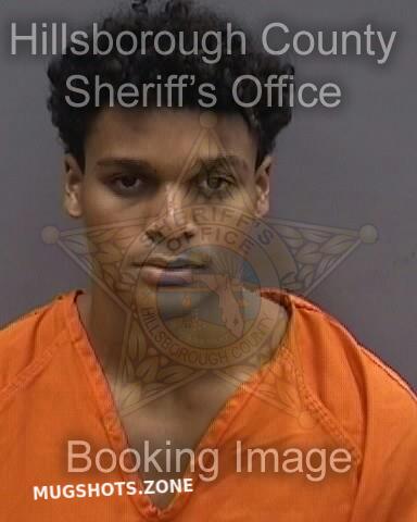 PATTON VISHAN 10/30/2024 - Hillsborough County Mugshots Zone