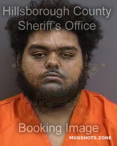 MALAVE JAMES 11/05/2024 - Hillsborough County Mugshots Zone