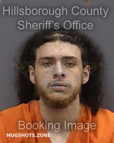 RODRIGUEZ JOHN 11/09/2024 - Hillsborough County Mugshots Zone