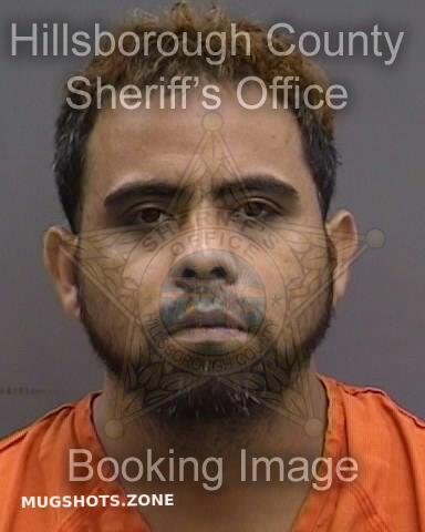 TORREALBA SUAREZ ANGEL 11/12/2024 - Hillsborough County Mugshots Zone
