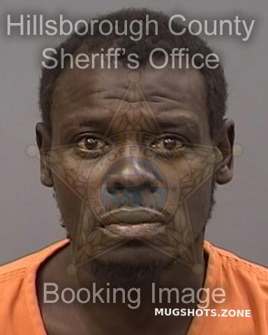 DAVIS SHAWN 11/15/2024 - Hillsborough County Mugshots Zone