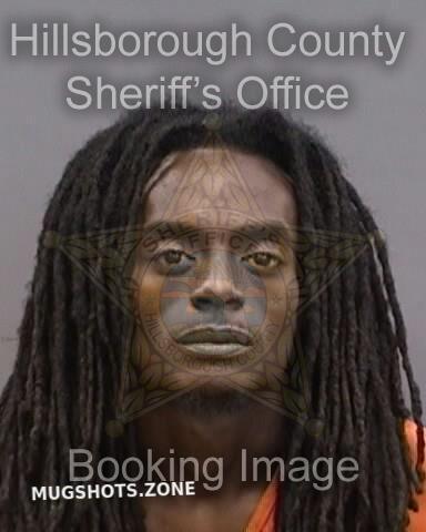 BOWMAN REGINALD IV 11/15/2024 - Hillsborough County Mugshots Zone