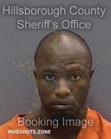 KING RYAN 11/18/2024 - Hillsborough County Mugshots Zone