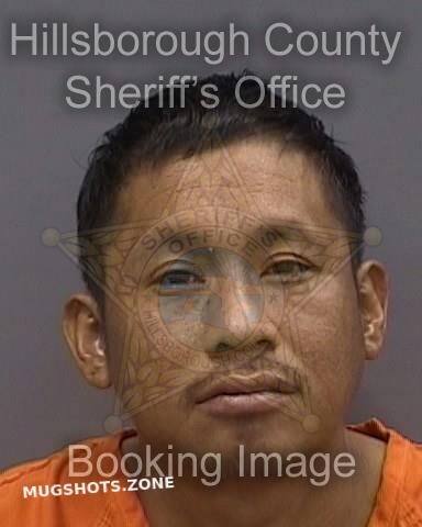 RODRIGUEZ DANIEL 11/20/2024 - Hillsborough County Mugshots Zone