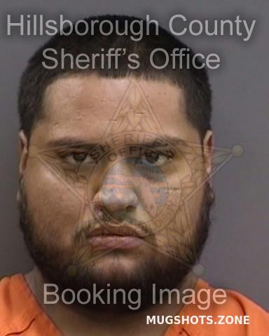 LOPEZ DANIEL JR 11/20/2024 - Hillsborough County Mugshots Zone