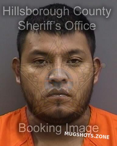 CULEBRO PEREZ MARCOS 11/25/2024 - Hillsborough County Mugshots Zone