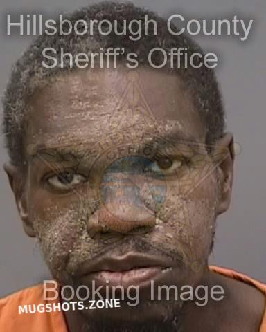 CAREY RUPERT 11/25/2024 - Hillsborough County Mugshots Zone