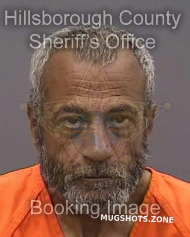 MOSTAFA SAMEH 11/26/2024 - Hillsborough County Mugshots Zone