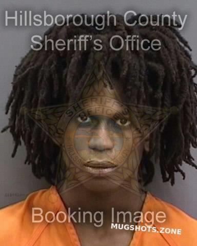 WILLIAMS JACQUEZ 11/26/2024 - Hillsborough County Mugshots Zone