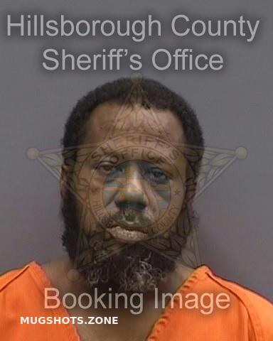 BROWN DEVON LLOYD 11/28/2024 - Hillsborough County Mugshots Zone