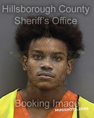 AVILES STEVEN 11/28/2024 - Hillsborough County Mugshots Zone