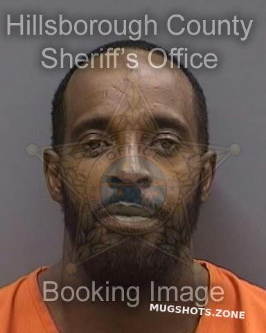 RIGGINS DEMETRIS 11/30/2024 - Hillsborough County Mugshots Zone