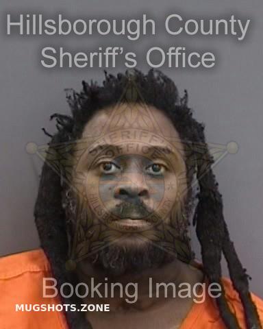 HENDERSON CHRISTOPHER 12/04/2024 - Hillsborough County Mugshots Zone