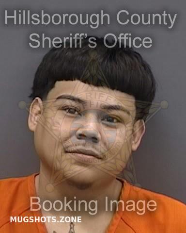 CLAVEL BRIAN 12/10/2024 - Hillsborough County Mugshots Zone