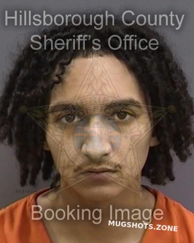 LANDAVERDE BRANDON 12/13/2024 - Hillsborough County Mugshots Zone