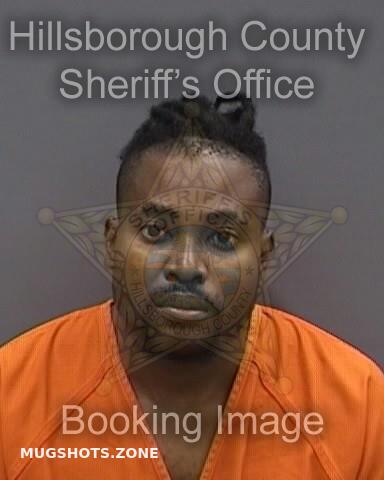 GABRIEL STEVENS 12/17/2024 - Hillsborough County Mugshots Zone