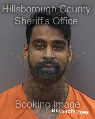 WILSON CHRISTOPHER 12/20/2024 - Hillsborough County Mugshots Zone