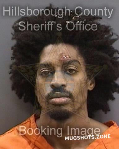 BROWN BRANDON 12/21/2024 - Hillsborough County Mugshots Zone
