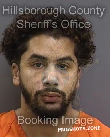GESSMAN DARIAN 01/02/2025 - Hillsborough County Mugshots Zone