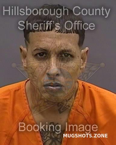 CRUZ GEOVANNI 01/02/2025 - Hillsborough County Mugshots Zone