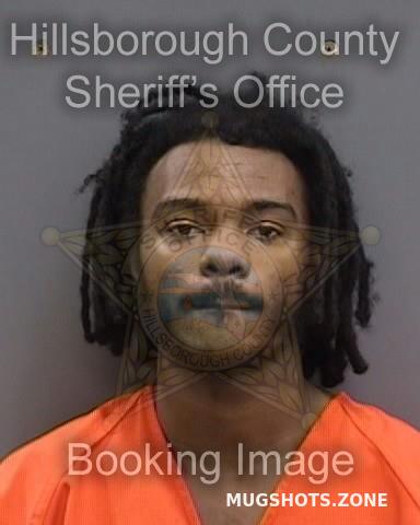 ANDERSON DAVID 01/06/2025 - Hillsborough County Mugshots Zone