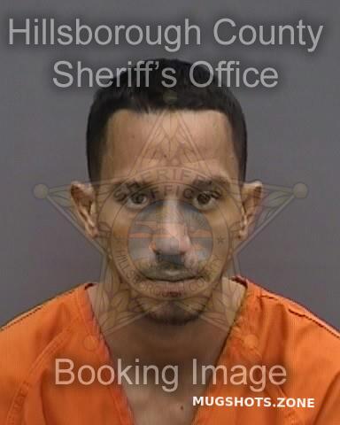 NUNEZ ALVAREZ FRANK JR 01/07/2025 - Hillsborough County Mugshots Zone