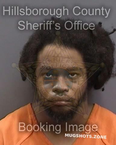 HAMILTON ANDREW 01/09/2025 - Hillsborough County Mugshots Zone
