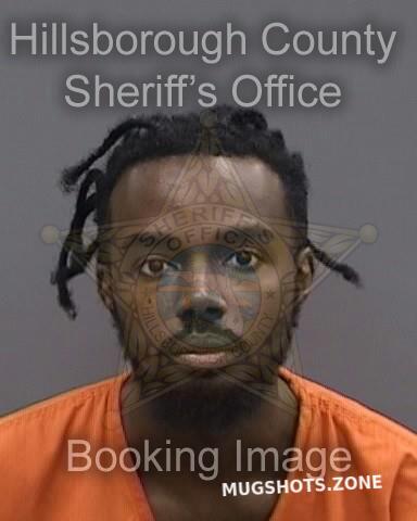 POWELL DENARIO 01/13/2025 - Hillsborough County Mugshots Zone