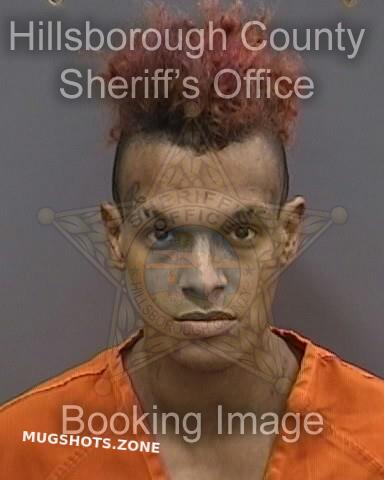 SOTO-SUAREZ EDWIN 01/14/2025 - Hillsborough County Mugshots Zone