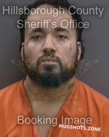 BOUCHEREAU BRANDON 01/15/2025 - Hillsborough County Mugshots Zone