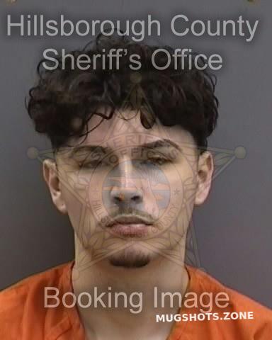 WORD HENRY 01/17/2025 - Hillsborough County Mugshots Zone