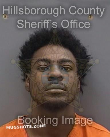 SANDS DAQUARIOUS 01/17/2025 - Hillsborough County Mugshots Zone