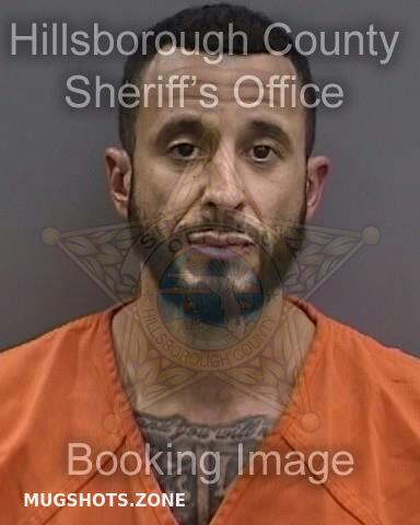 DAVID ANTHONY 01/19/2025 - Hillsborough County Mugshots Zone