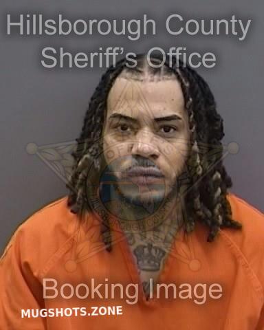 SANCHEZ CLEVER 01/25/2025 - Hillsborough County Mugshots Zone
