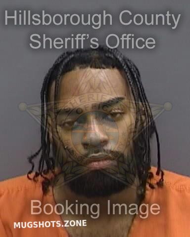 CLARK JORDAN 01/25/2025 - Hillsborough County Mugshots Zone