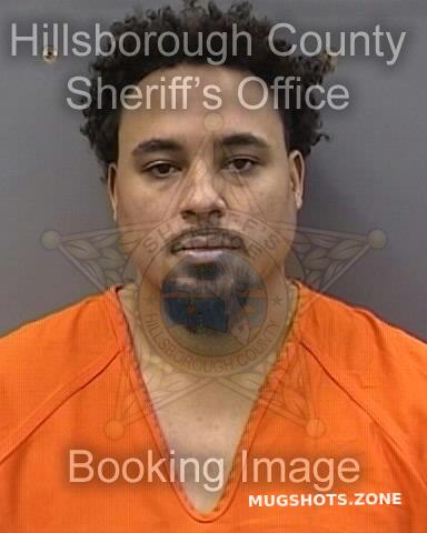 FALLON JOSHUA 01/27/2025 - Hillsborough County Mugshots Zone