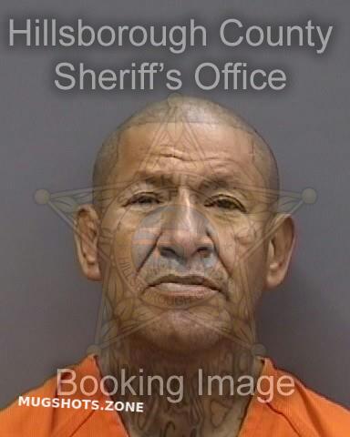 SALAZAR ALBERT 01/29/2025 - Hillsborough County Mugshots Zone