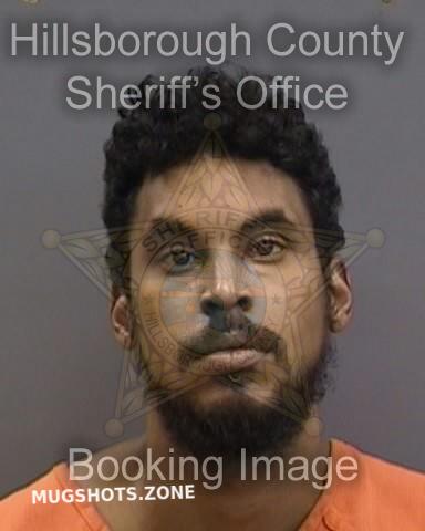 CHATFIELD KEITH 01/30/2025 - Hillsborough County Mugshots Zone