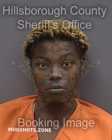 CASTILLO DESIRAY 02/12/2025 - Hillsborough County Mugshots Zone