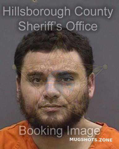 AUL CHRISTOPHER 02/13/2025 - Hillsborough County Mugshots Zone