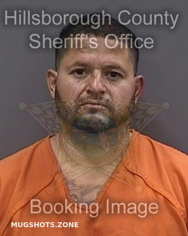 MEZA DAVID 02/20/2025 - Hillsborough County Mugshots Zone