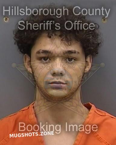 SULLIVAN MICHAEL 02/22/2025 - Hillsborough County Mugshots Zone