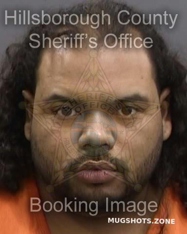 BURCIAGA SHELDON 02/24/2025 - Hillsborough County Mugshots Zone