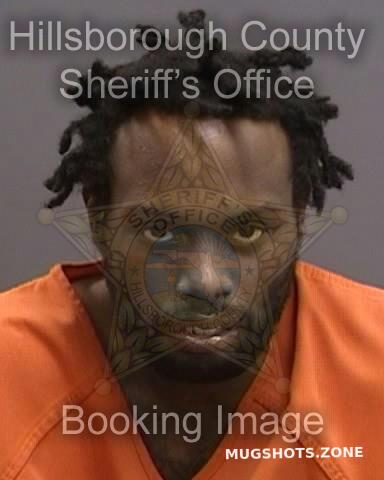 DAVIS MICHAEL JR 02/25/2025 - Hillsborough County Mugshots Zone