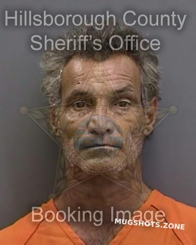 NEGRON ORLANDO 02/28/2025 - Hillsborough County Mugshots Zone