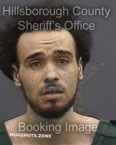 TYSON DAVID 02/28/2025 - Hillsborough County Mugshots Zone