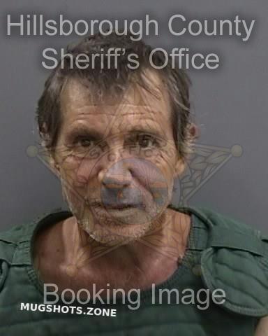 LEWIS RAYMOND 03/01/2025 - Hillsborough County Mugshots Zone