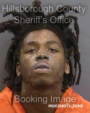 DAVIS DERRICK 03/04/2025 - Hillsborough County Mugshots Zone
