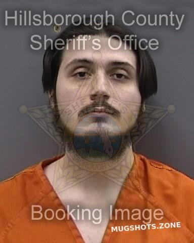 MITCHELL DOMINIC 03/15/2025 - Hillsborough County Mugshots Zone
